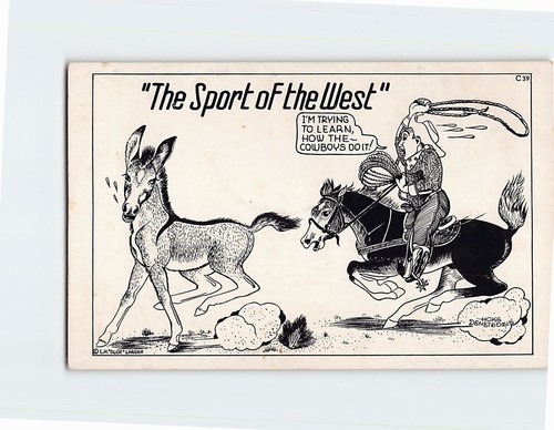 Postcard The Sport of the West Cowboy Chasing Donkey | eBay