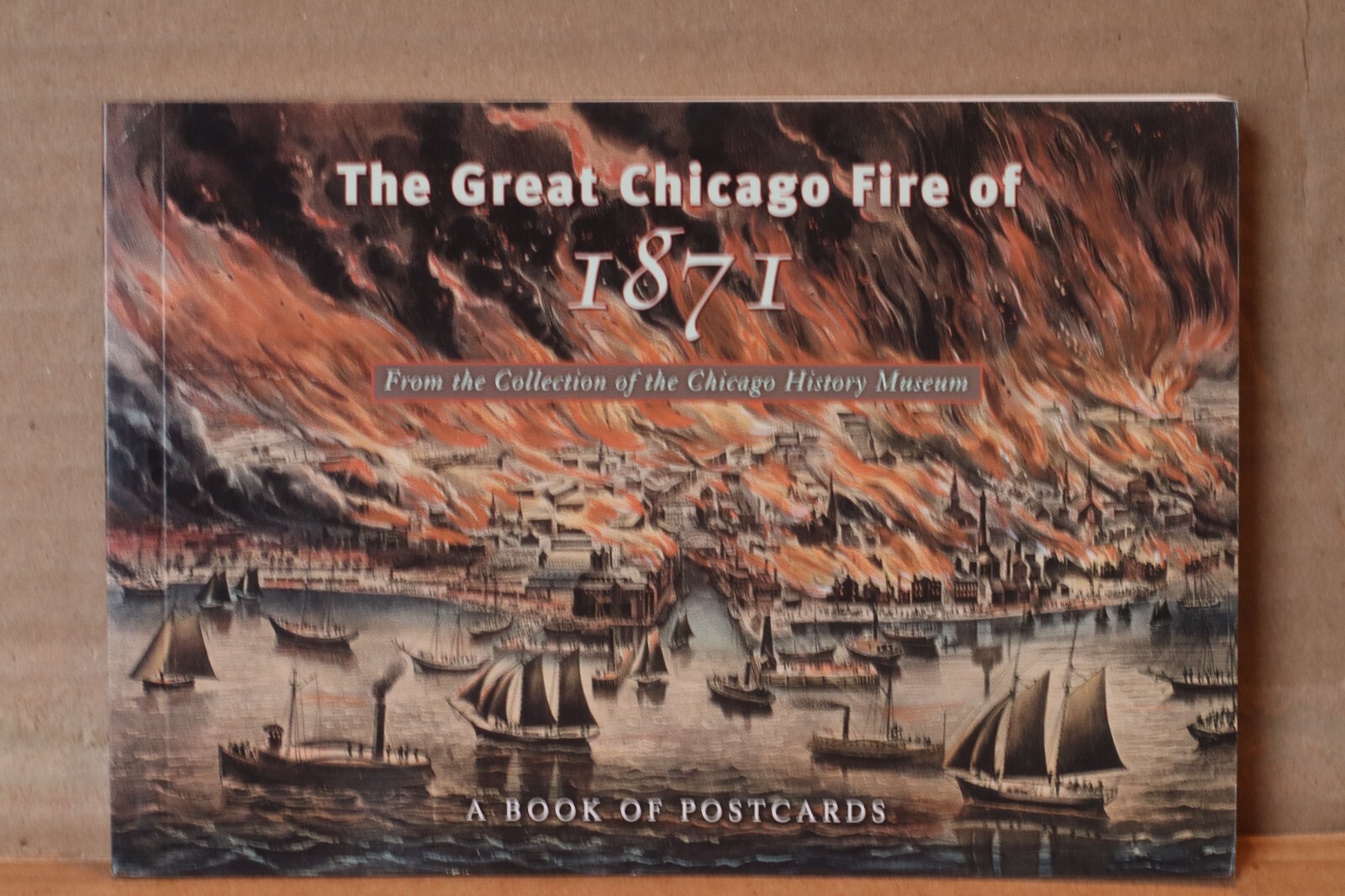 The Great Chicago Fire of 1871 a Book of 30 Oversized Postcards for ...