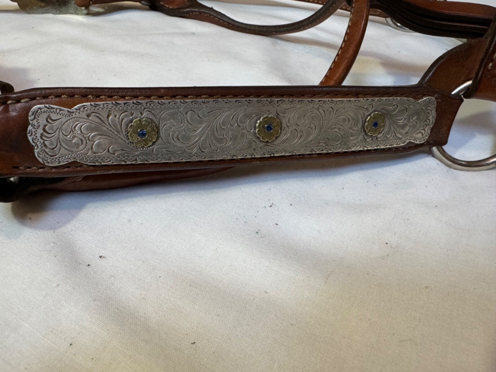 BLUE RIBBON TACK Light Oil Western Show Halters HORSE SIZE | eBay