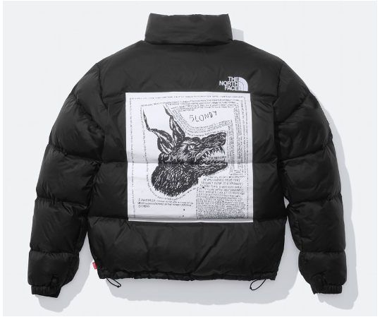 Supreme The North Face Nuptse Jacket 2024 FW Week9 Red Green Black ...
