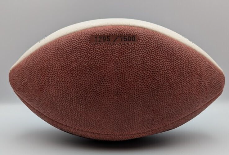 Green Bay Packers Super Bowl XXXI Champs Wilson Commemorative Football ...