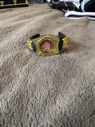 MATTEL WWE Rated R Spinner Belt | eBay