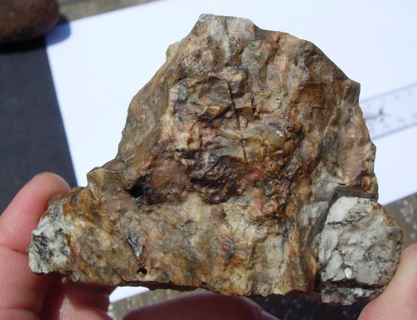 332.4 grams DJOUA 001 Enstatite achondrite Meteorite (Aubrite) as found ...