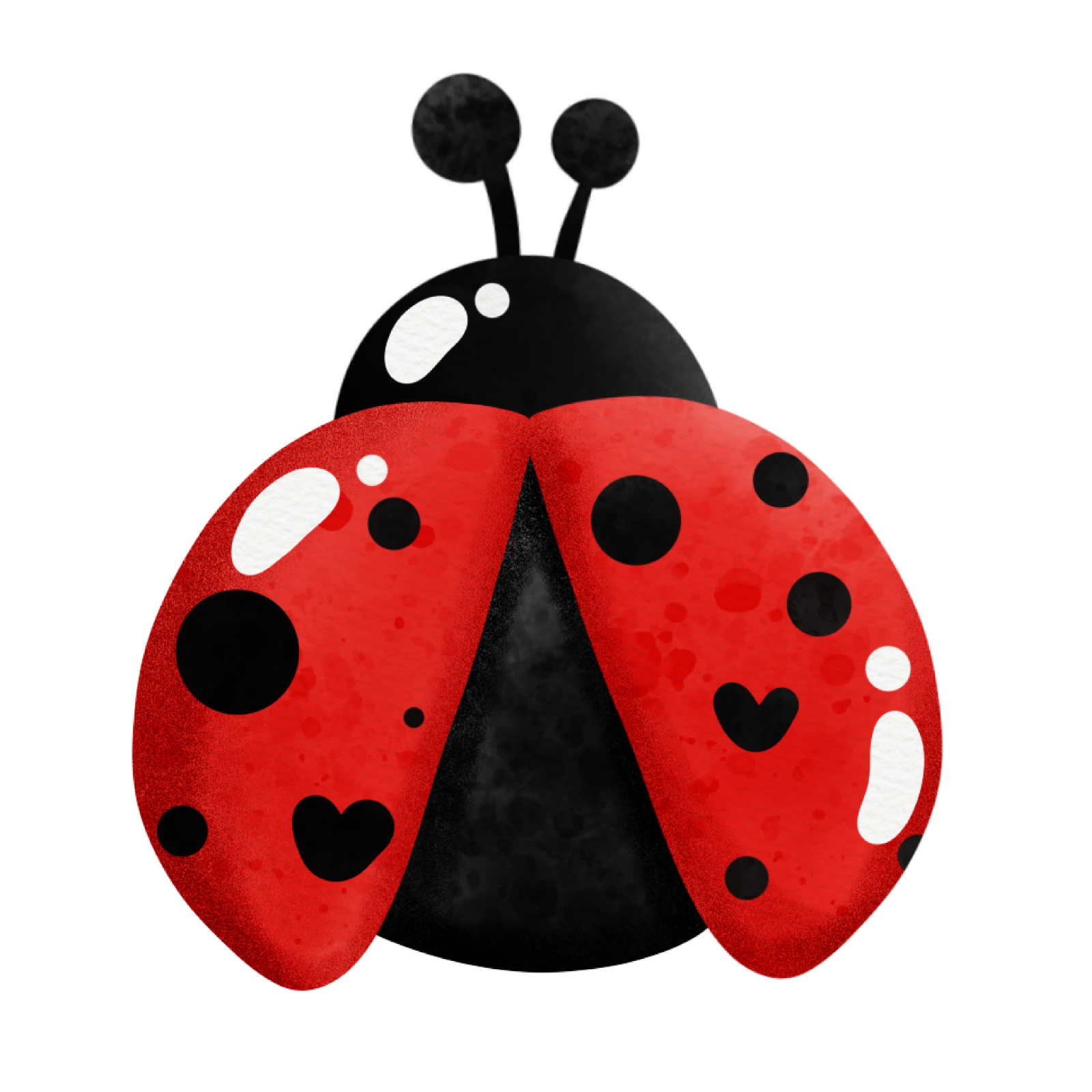 Cute Red Lady Bird Bug Nursery Wall Art Vinyl Sticker Summer Bedroom ...