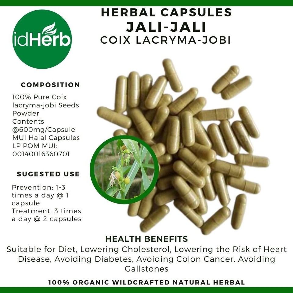 Capsules Coix Lacryma-Jobi Jali-Jali Natural herbal Organic 100% Herbs ...