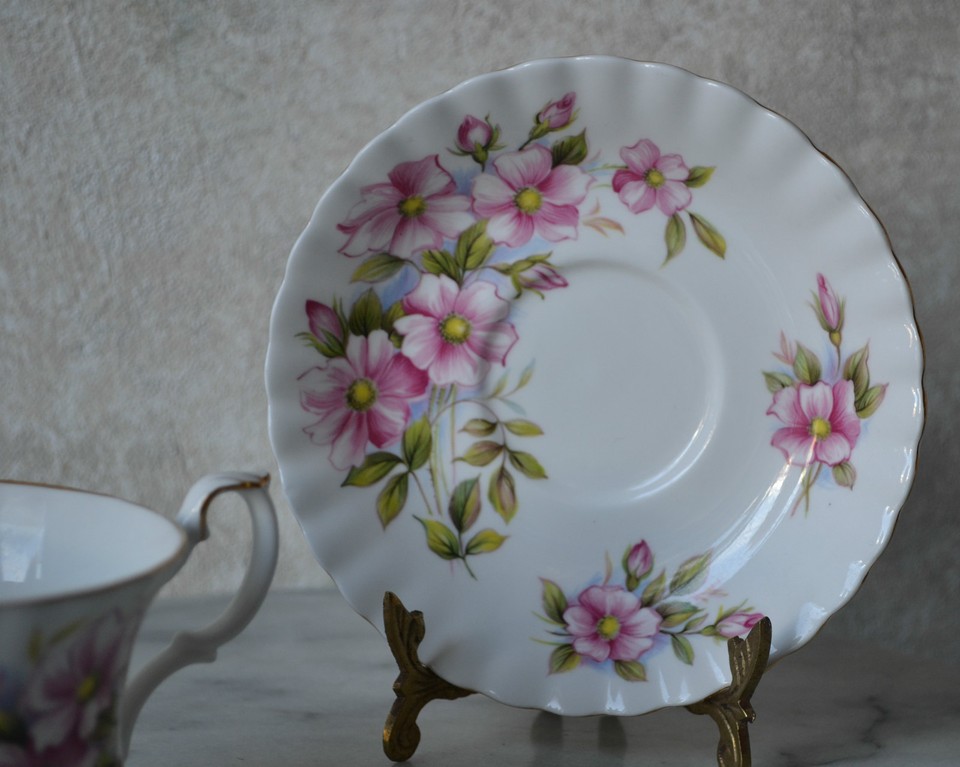 WILD ROSE - TEA CUP SAUCER, TEACUP SET, Royal Albert, bone china ...