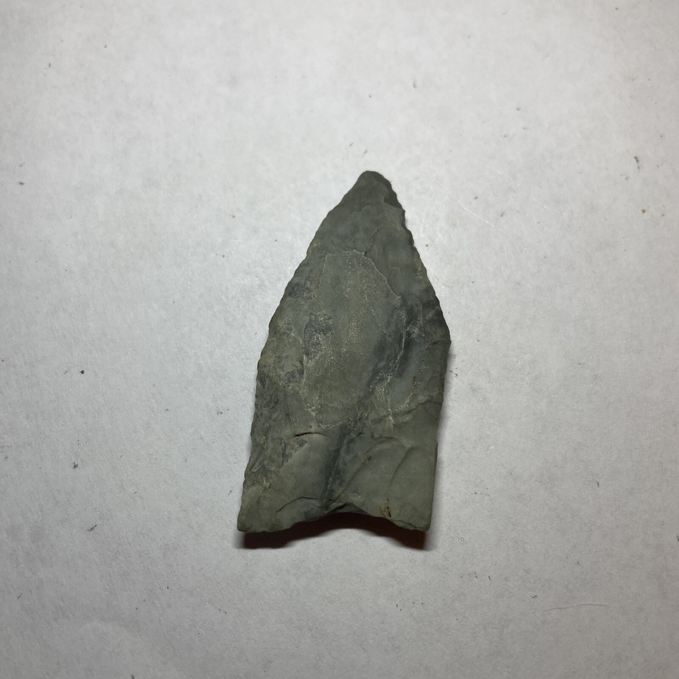 1 3/4 Inch Paleo Arrowhead Clovis New York Rare Green | eBay