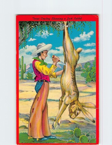 Postcard Texas Cowboy Skinning a Jack Rabbit | eBay