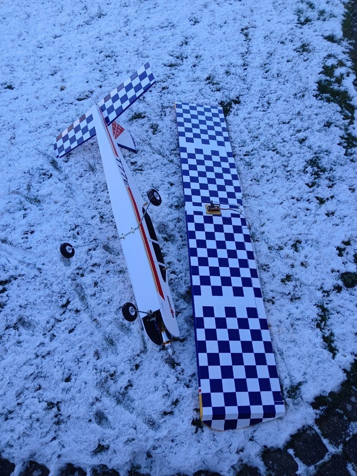 Seagull Arising Star RC Model Plane / Aircraft | eBay UK