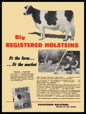 1956 Registered Holstein Cows - FIT THE FARM - New Metal Sign: 12X16 ...