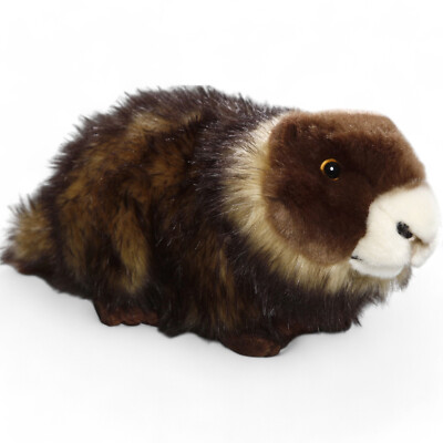Carl Dick Marmot lying, Stuffed Animal, Plush Toy | eBay
