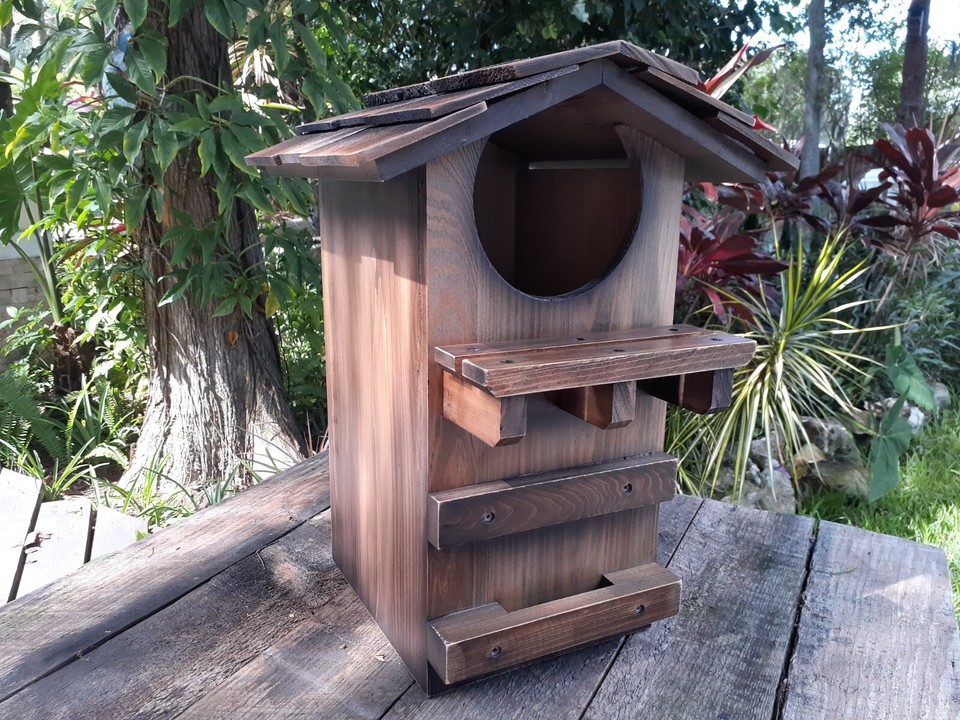 Premium Screech Owl House; Rustic Handmade Owl Nesting Box, Owl nesting ...