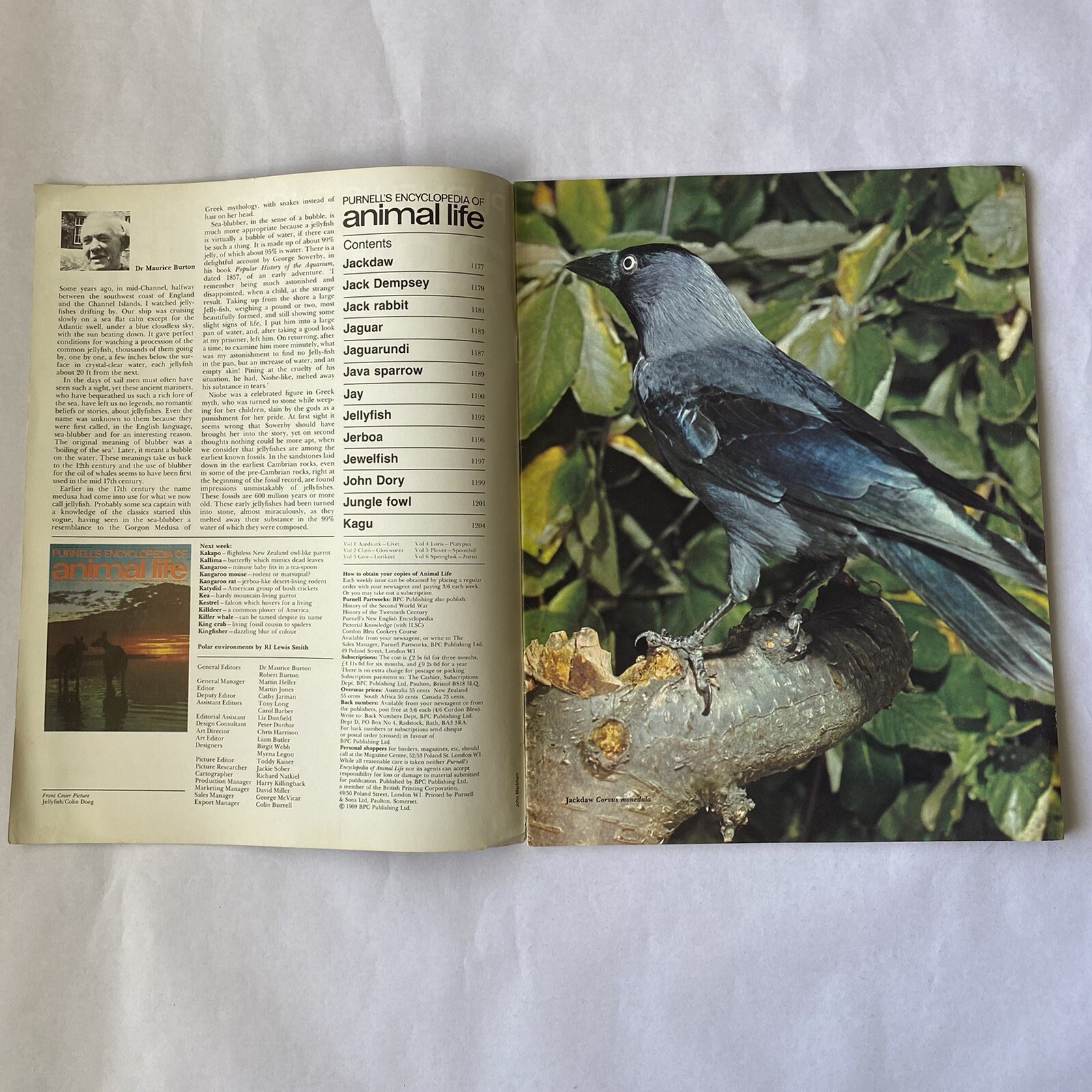 Purnell’s Encyclopedia Of Animal Life Magazine Volume 3 Number 11 ...