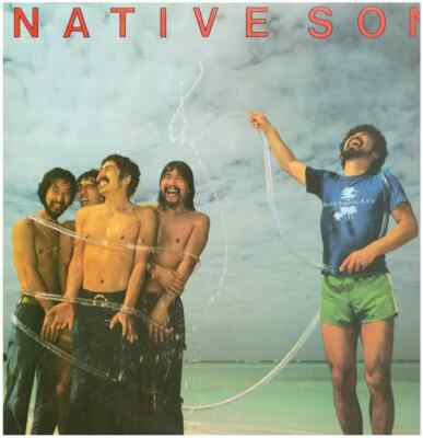 Native Son INSERT JAPAN JVC Vinyl LP | eBay.de