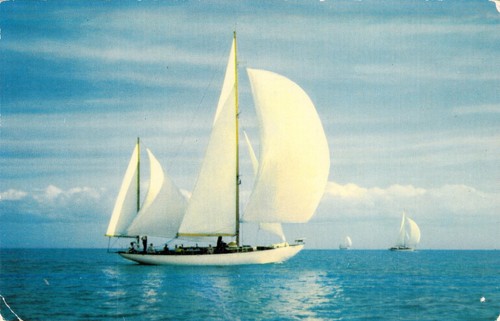 Smooth Sailing Boat- VTG Unposted Postcard M14 | eBay