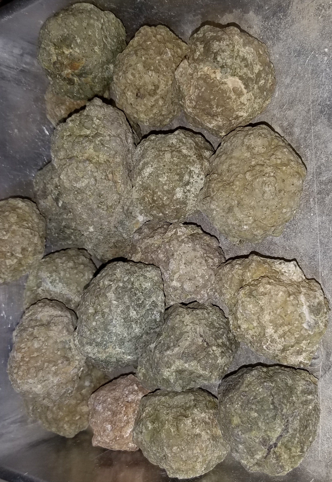 JoNGD: (1-lb LOT) = ( 15 to 19 Uncut Rough Thunderegg Oregon Geode ...