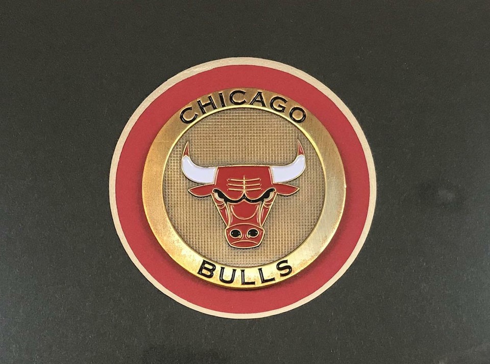 CHICAGO BULLS Medallion Frame Kit 8x10 Photo Double Mat VERTICAL | eBay
