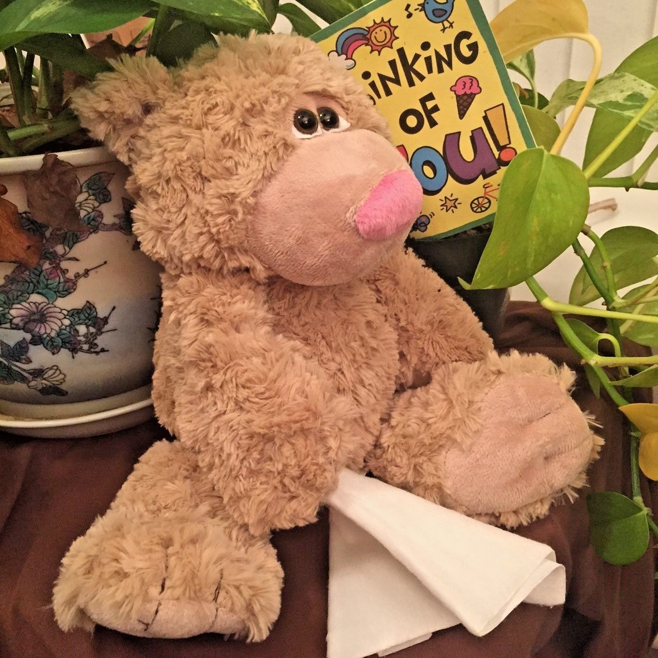 Sick Teddy Bear Cold Get Well Soon Sneeze Flu Tissue Stuffed Animal 12 ...