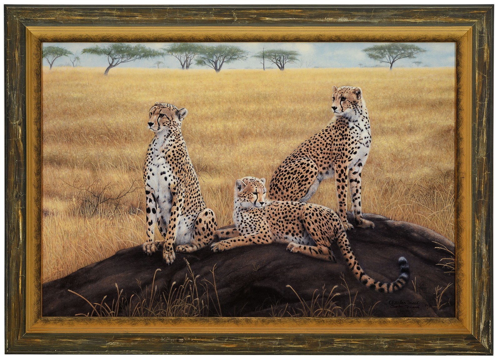 MORNING CALM Charles Frace CANVAS Signed & Numbered w/coa Framed ...