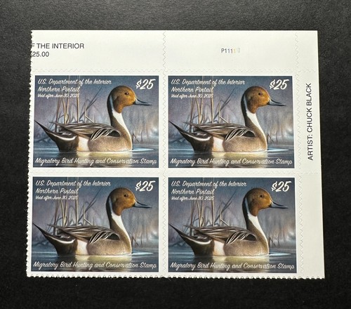 WTDstamps - #RW91 2024 - Federal Duck Stamp - Mint OG NH **Upper Right ...