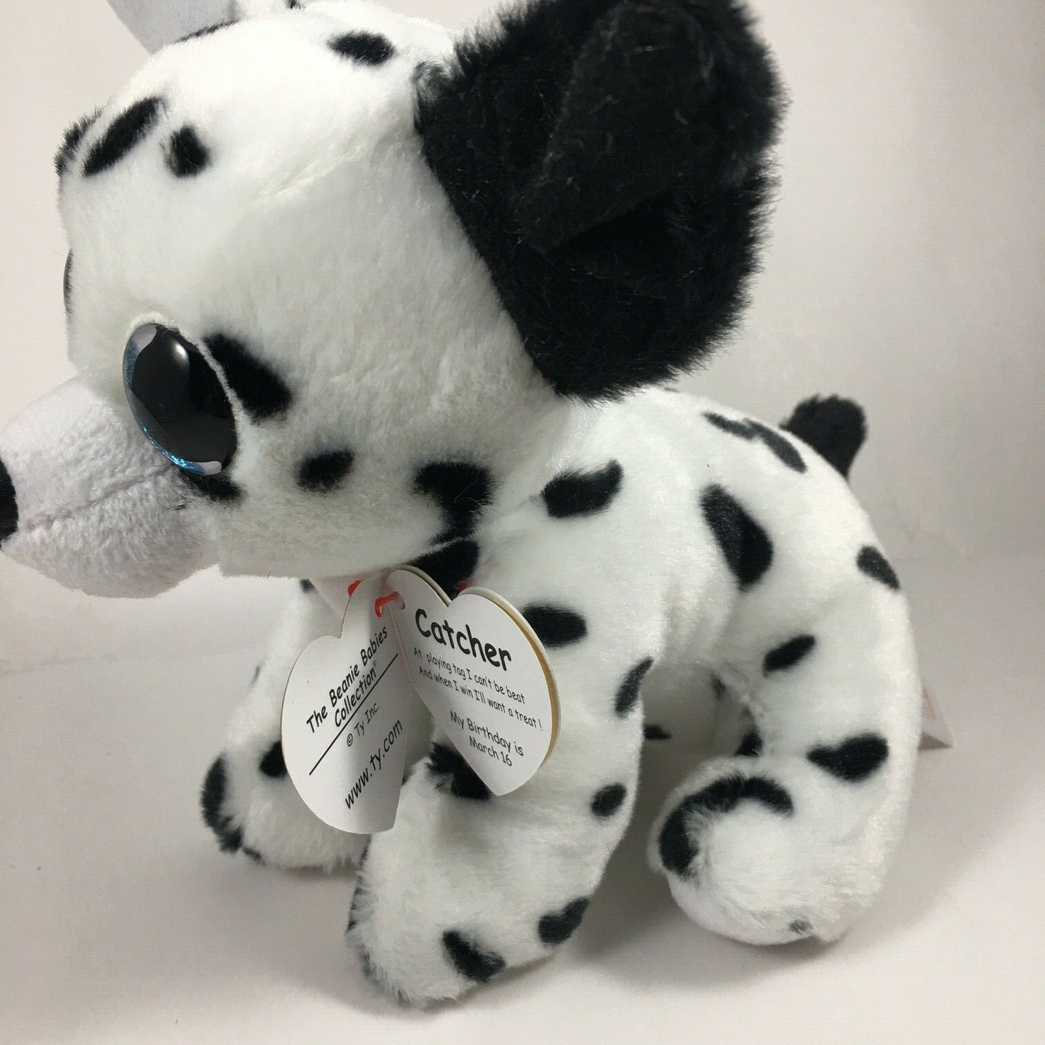 TY Beanie Babies 6" CATCHER Dalmatian Dog Plush Stuffed Animal Toy w ...