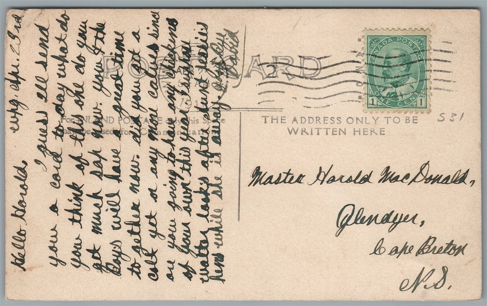 SPECIMENS OF WOOL PRODUCERS EXAGGERATED ANTIQUE REAL PHOTO POSTCARD ...