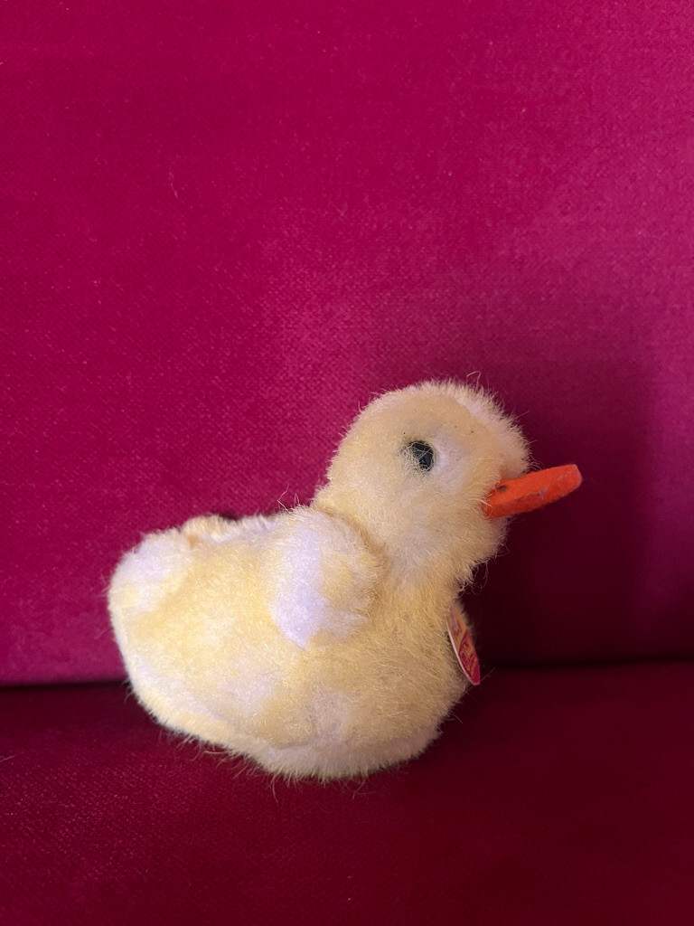 Steiff Ente Piccy 3242 /08 - mit Knopf, Fahne und Bauchschild | eBay.de