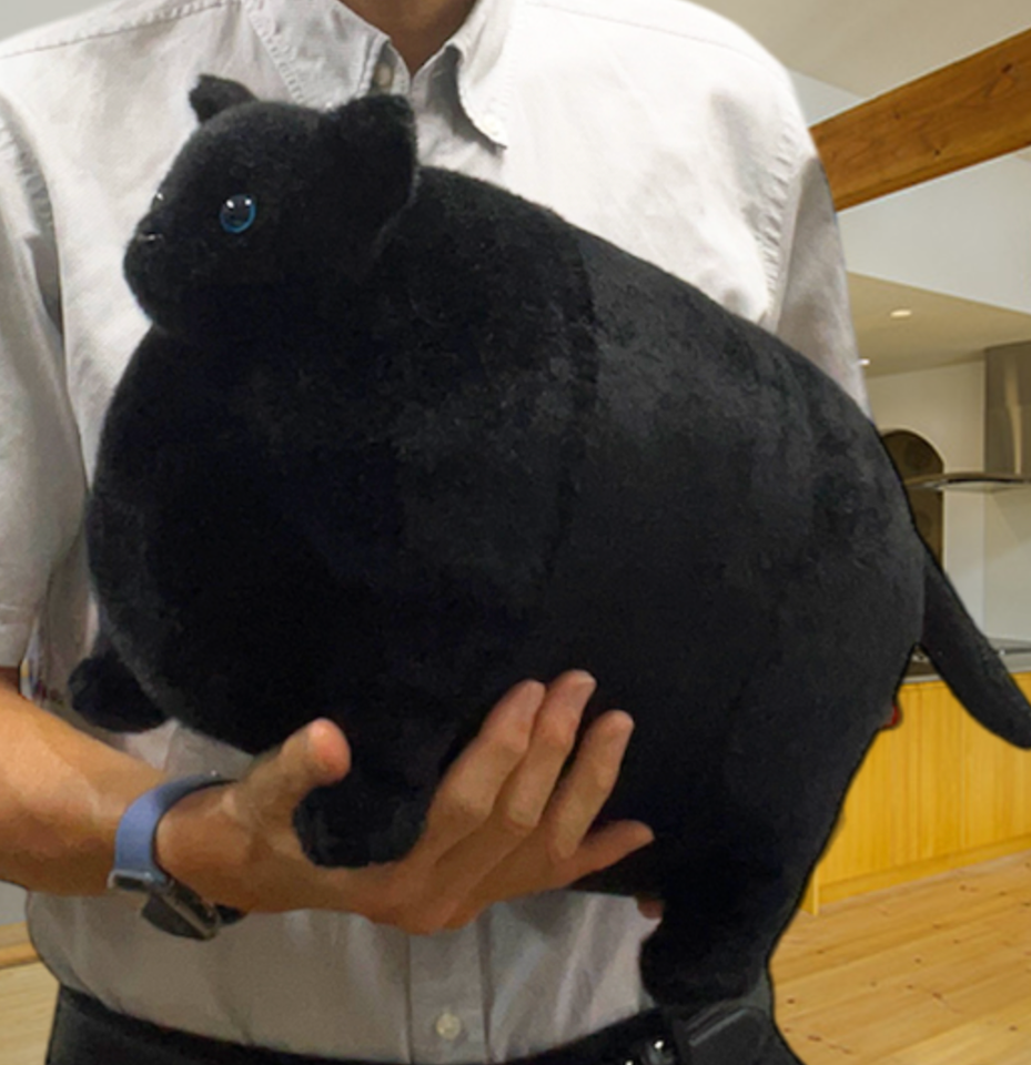 Fatty Zoo Black Cat Stuffed Doll Plush Toy Kawaii 14" (35cm) Japan | eBay