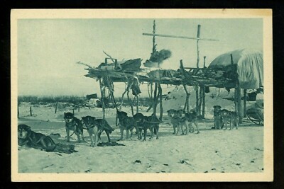 Alaska AK postcard Dog Sled Team husky dogs Vintage | eBay