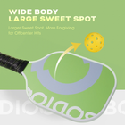 Pickleball Paddle Set with 4 Pickleball Anti-Slip Sweat-Absorbing Grip ...