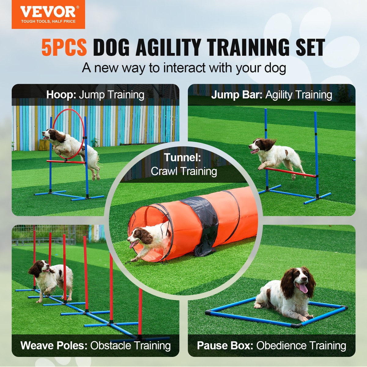 Dog Agility Equipment