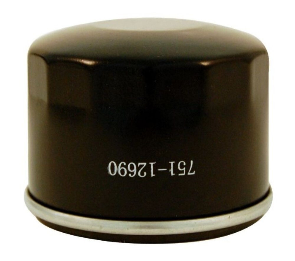 Troy-Bilt 490-201-Y010 Oil Filter for Lawn Tractors Premium 420cc OHV ...