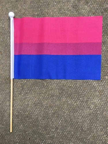 BI PRIDE 9x6 inch 22cm x 15cm MEDIUM HAND WAVING FLAG Sexuality LGBT | eBay