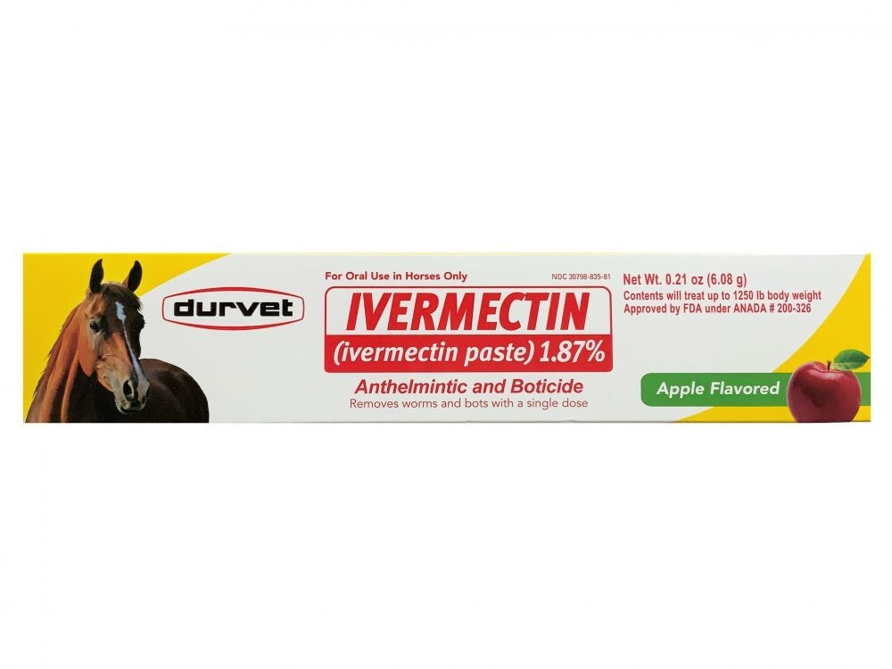 Durvet Equine Paste Anthelmintic and Boticide for Horses 0.21 oz | eBay