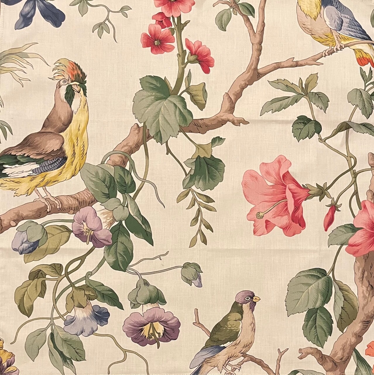 SCALAMANDRE Belize Ivory Botanical Floral Birds Remnant New | eBay