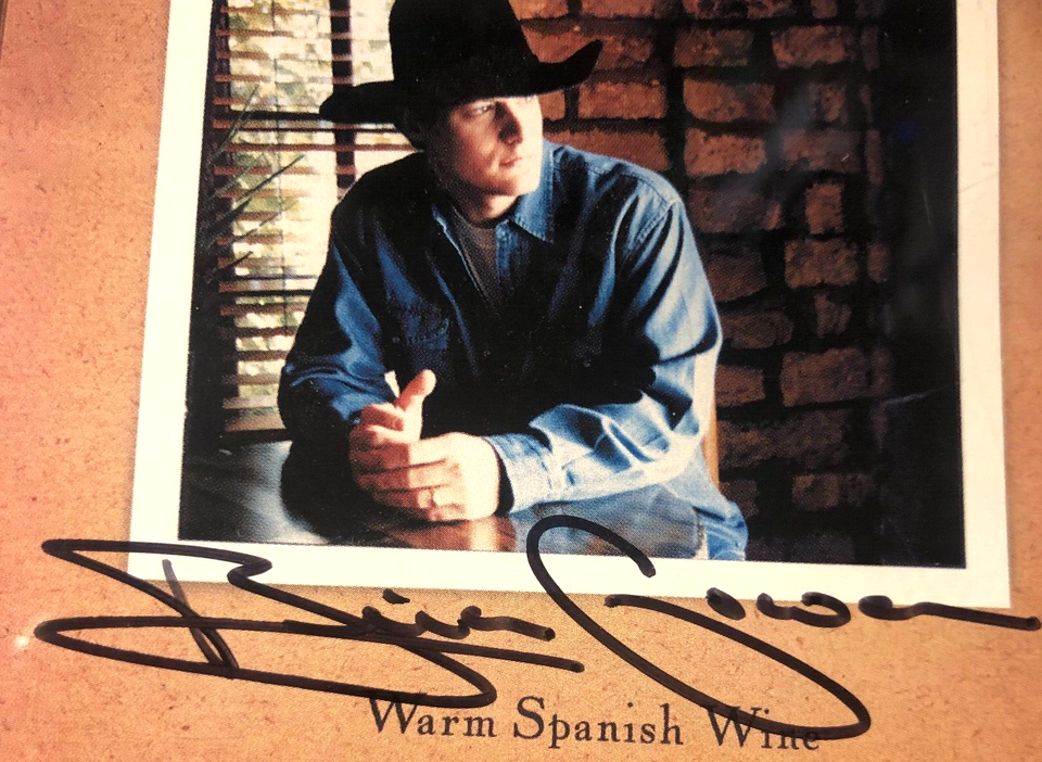 Warm Spanish Wine by Brian Gowan (CD 2005) country Signed Autographed ...