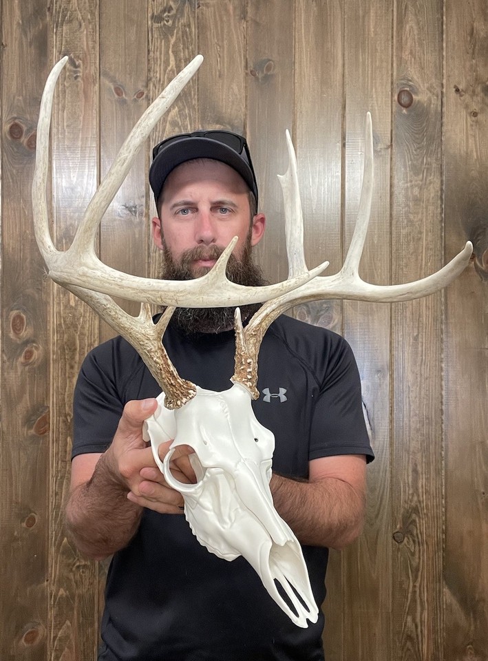 Dark Tall Perfect 10pt Whitetail Antler Horn Deer Fake Skull Mount ...