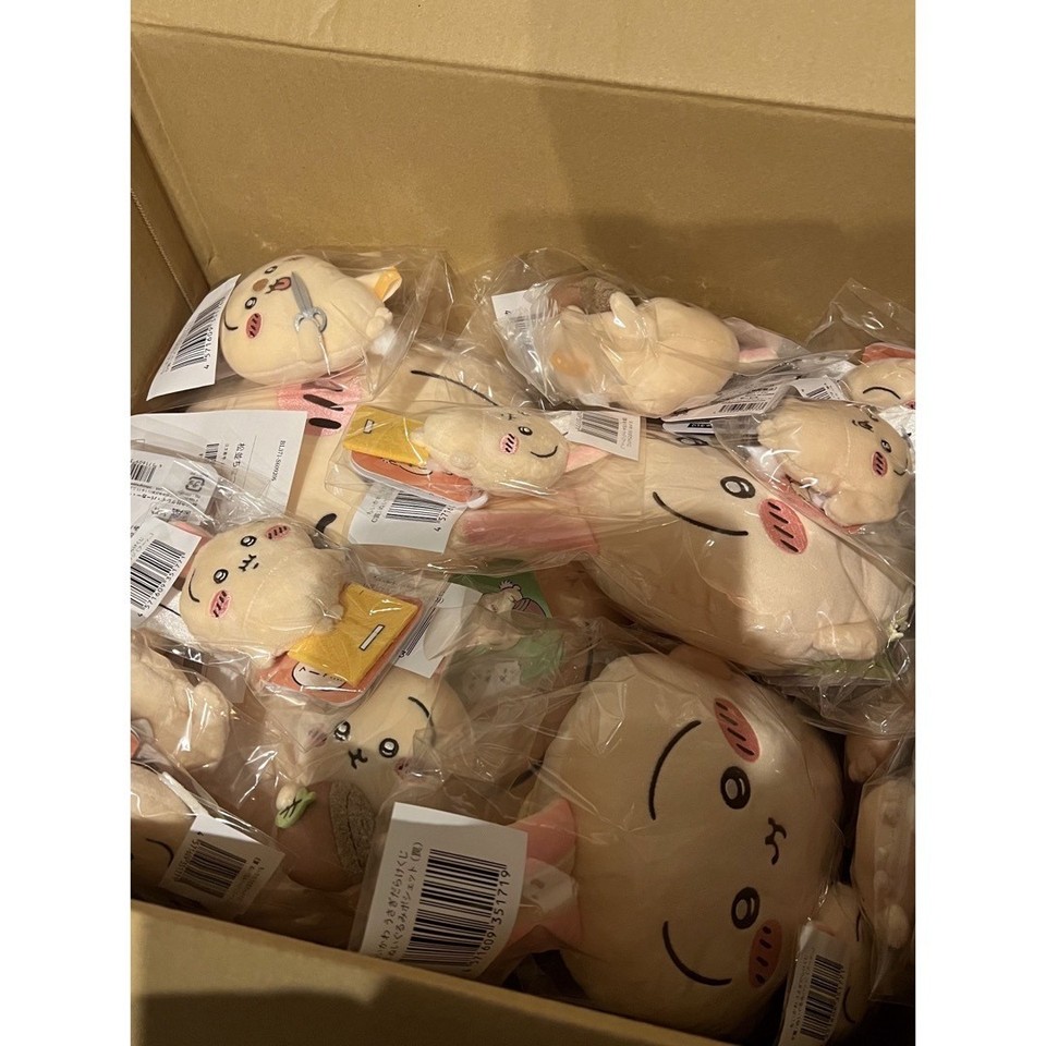 Chikawa Rabbit Lottery Acorn DJ | eBay