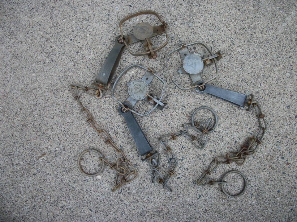 (3) ONEIDA VICTOR # 0 LONG SINGLE SPRING ANIMAL TRAP U.S.A. NICE USED ...