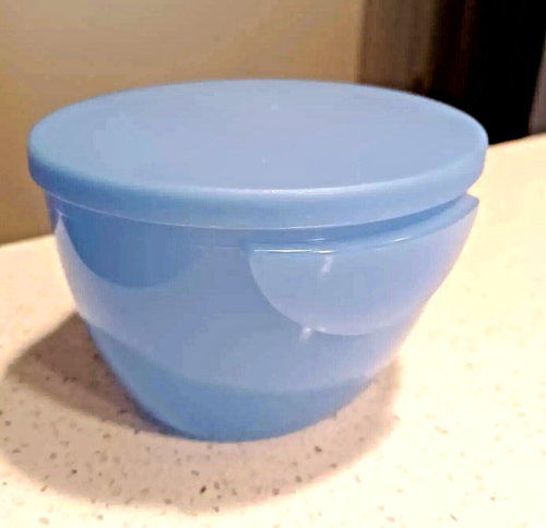 Tupperware 4626A-2 Hanging Dip Bowl Open House Collection 470ml Blue | eBay