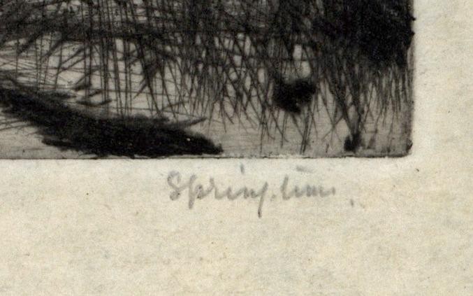 David Waterson Pencil Signed Etching Springtime | eBay UK