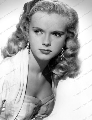 8x10 Print Anne Francis Sexy Studio Portrait #AF722 | eBay
