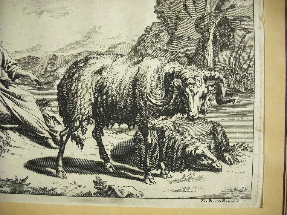Engraving 18th Elias Beck Baeck (1679-1747) Roma Young Shepherdess ...