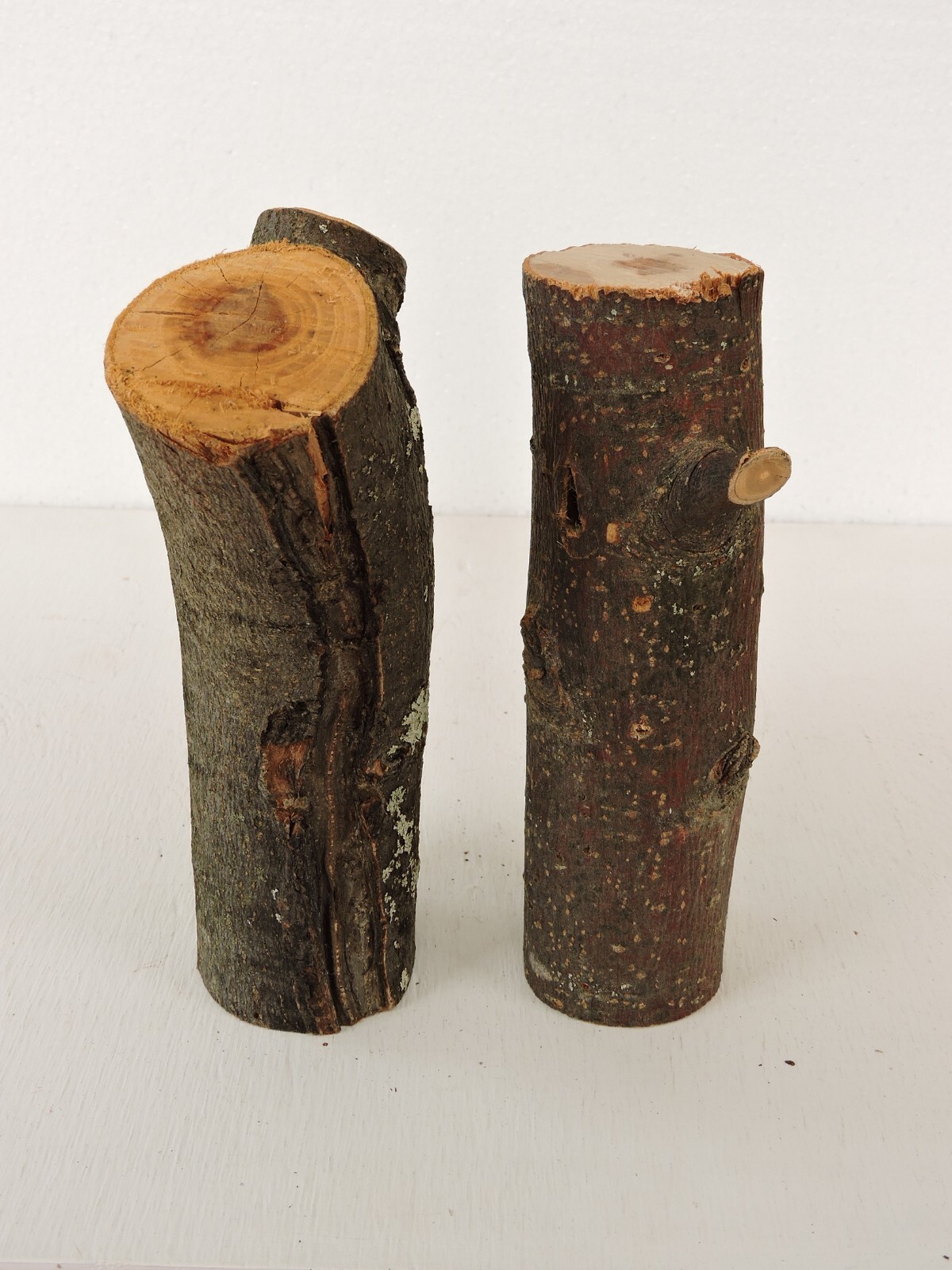 2 Apple Wood Stick Log Chunk Carving Blank Craft Forked Crotch 2 1/4~2 ...