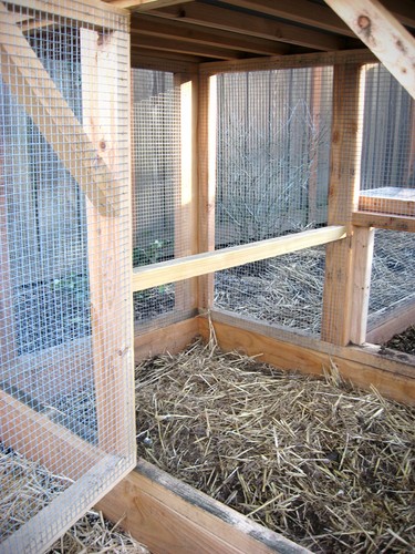 Chicken/Rabbit Run Plans: The Garden Run Half-Height (eBook on USB ...