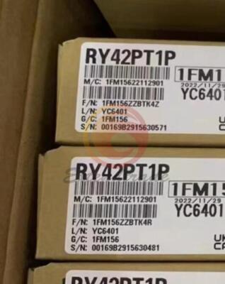 1PCS Mitsubishi RY42PT1P | eBay
