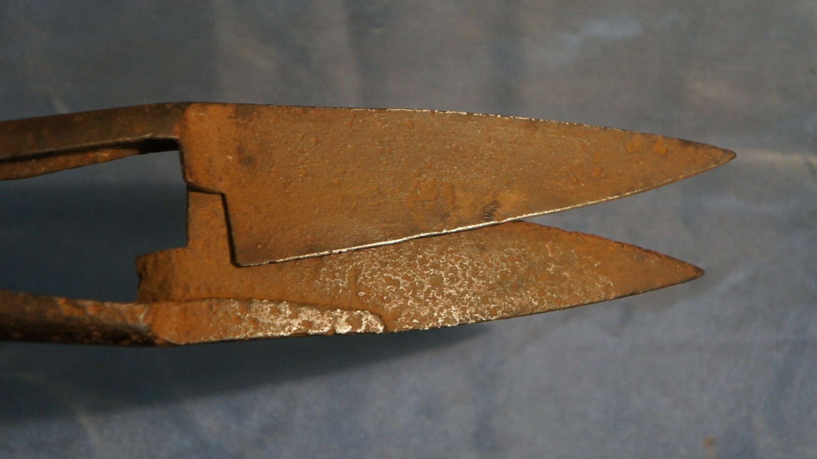 Vintage HAND SHEEP SHEARS WOOL CLIPPERS CUTTERS TOOL 13 INCHES LONG ...