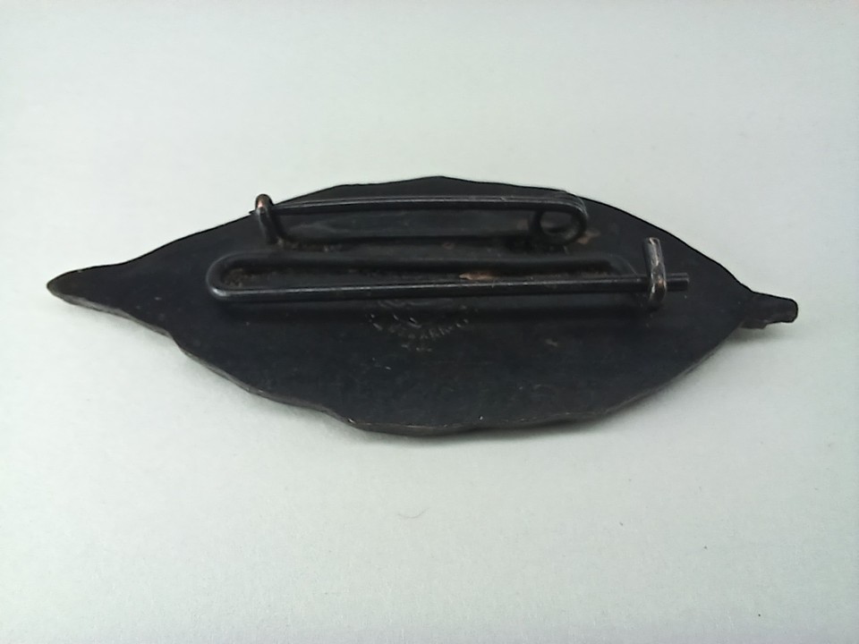 1913 Virginia Federation Of Labor Convention Danville VA Whitehead ...