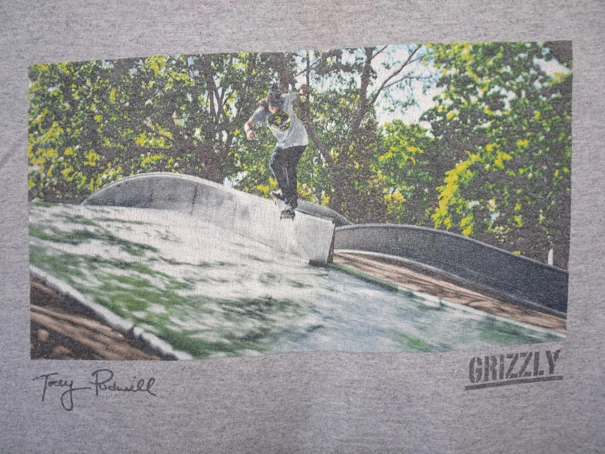 Torey Pudwill Grizzly Shoes