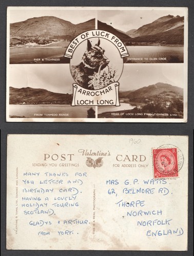 Arrochar Dog Scotland Postcard. Posted Brig O Turk Callander Perthshire ...